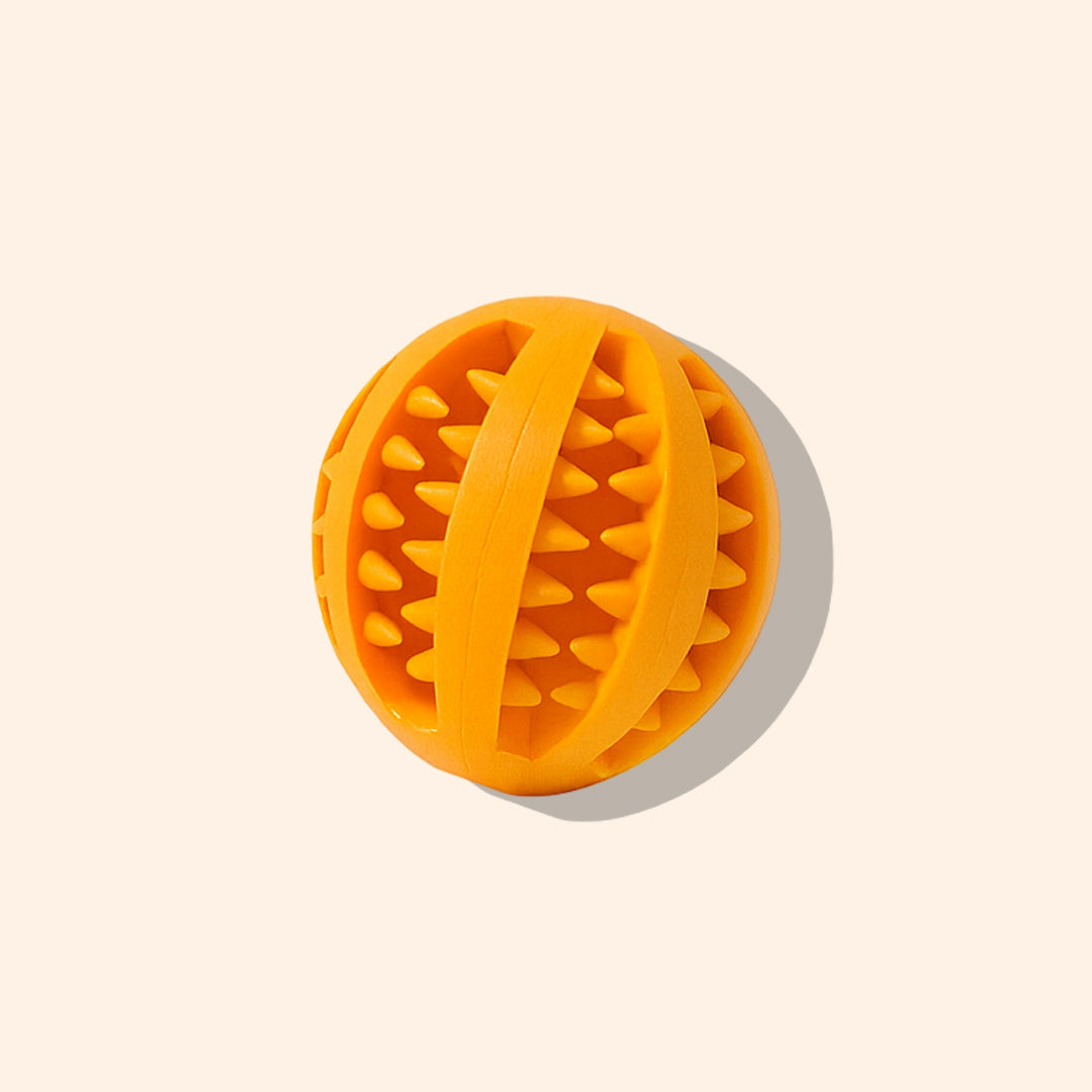 Slow Feeder Ball – Octa Pets